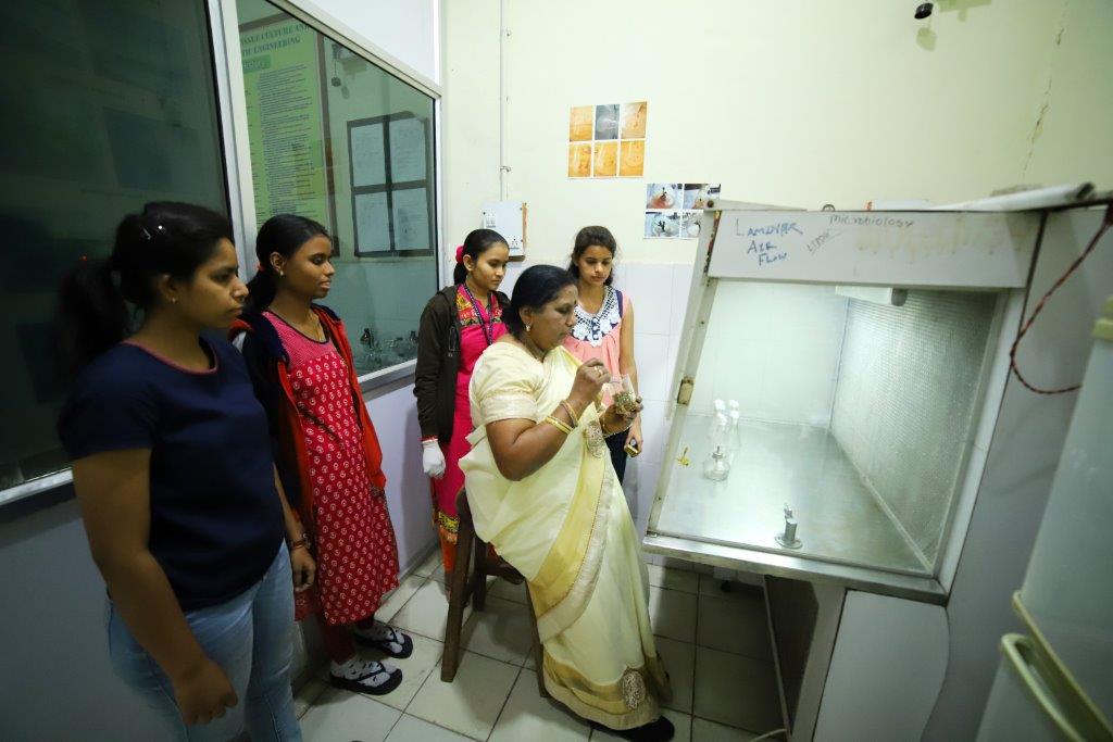 Department of Botany